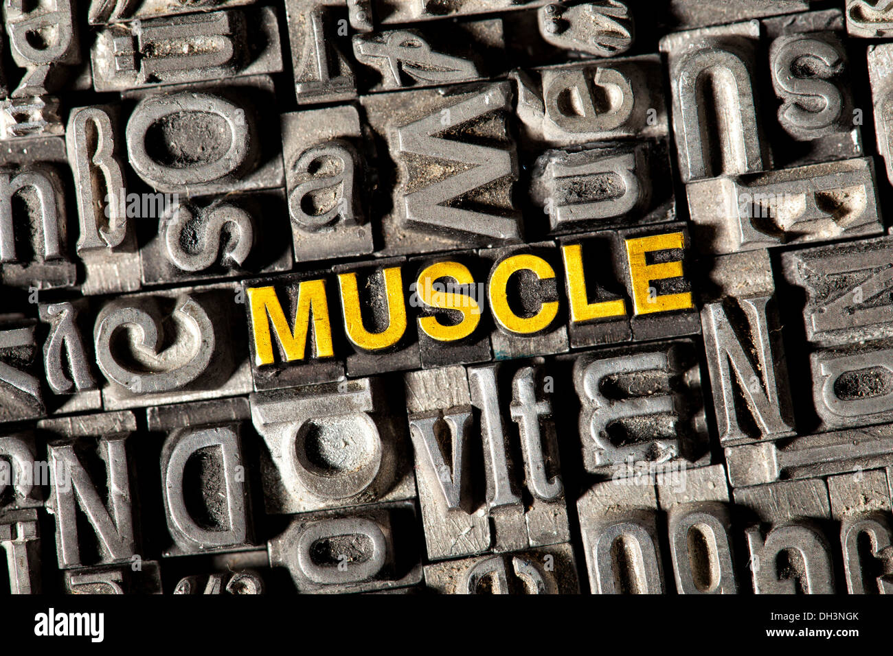 Old lead letters forming the word "MUSCLE Stock Photo - Alamy