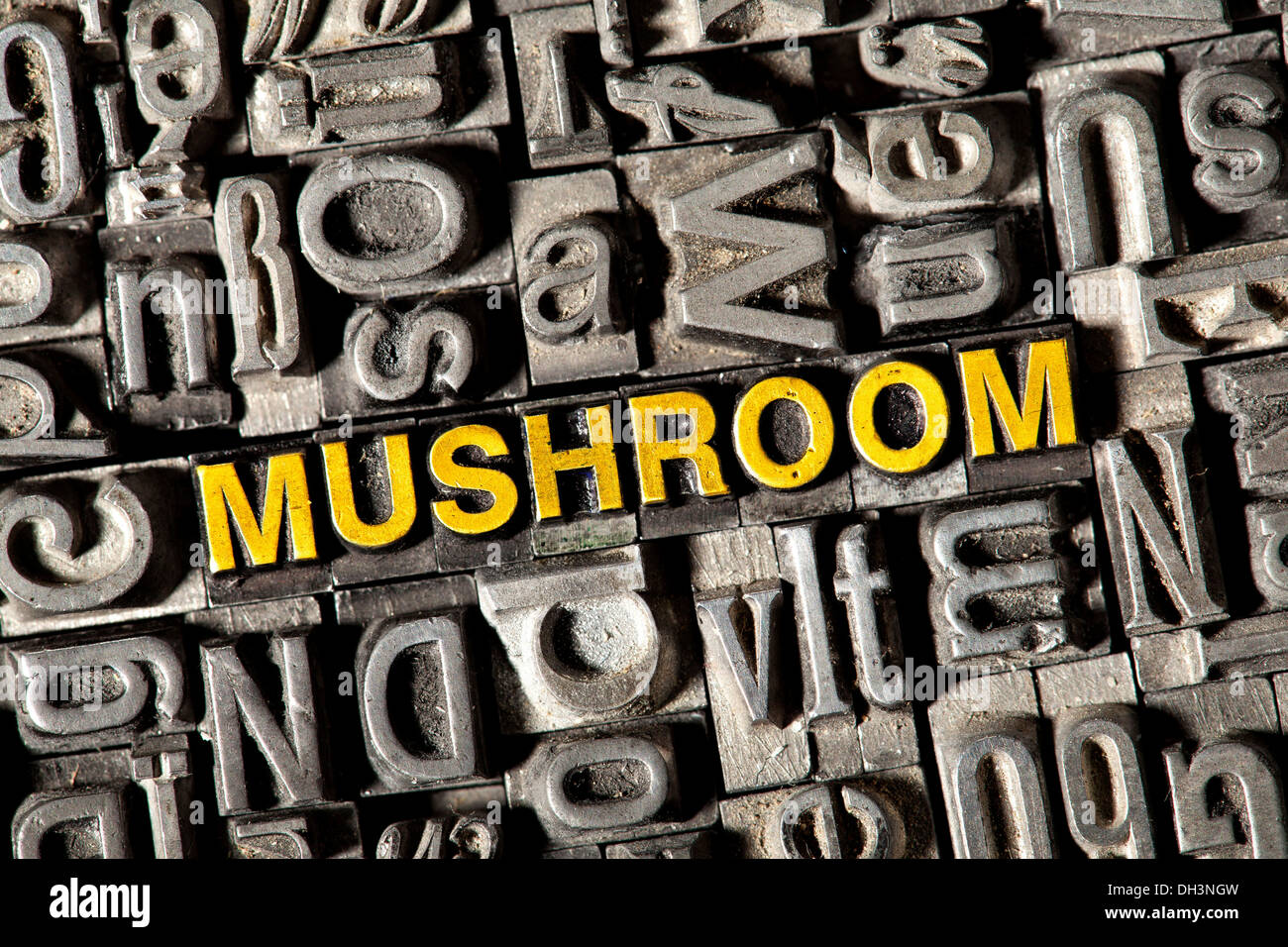 Mushroom character hi-res stock photography and images - Alamy
