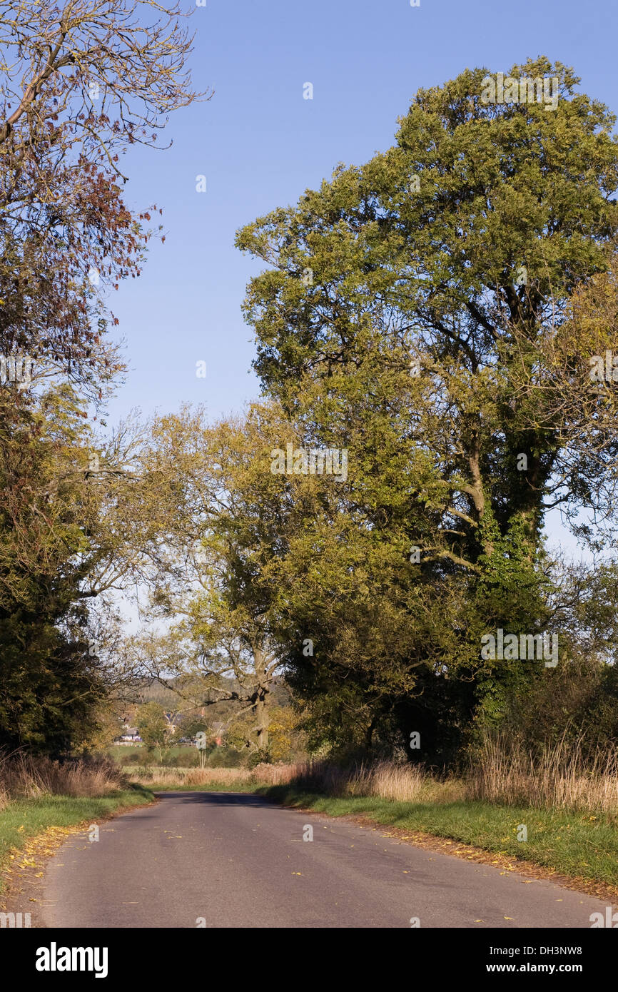 English country lane hi-res stock photography and images - Alamy