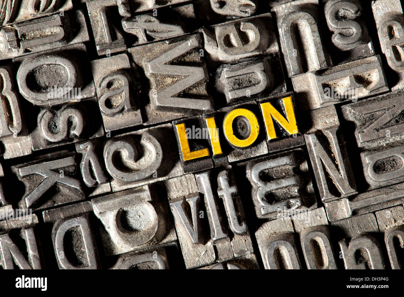 Old lead letters forming the word "LION Stock Photo - Alamy