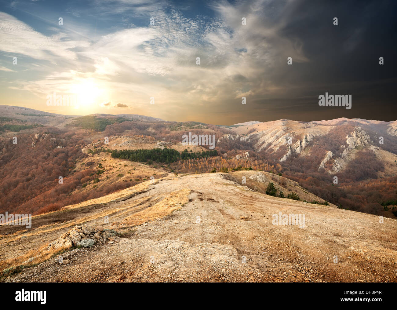 Sunny brown hi-res stock photography and images - Alamy