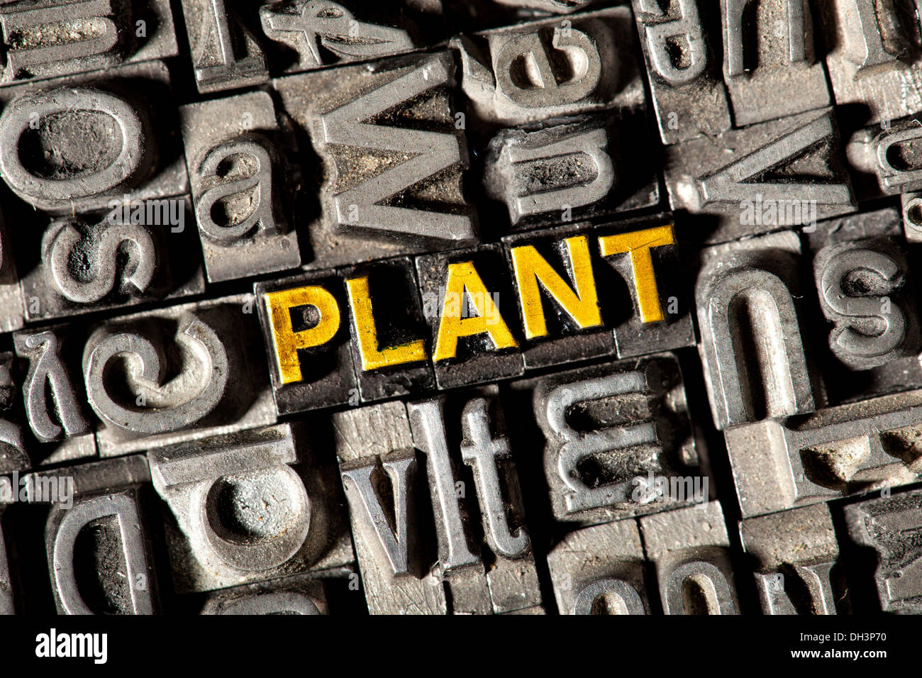 Plant word hi-res stock photography and images - Alamy
