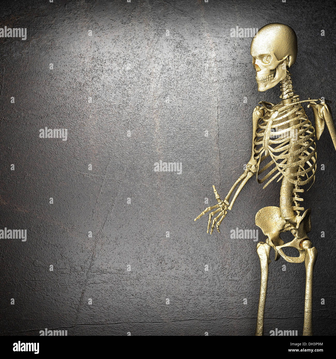 Light alloy skeleton hi-res stock photography and images - Alamy