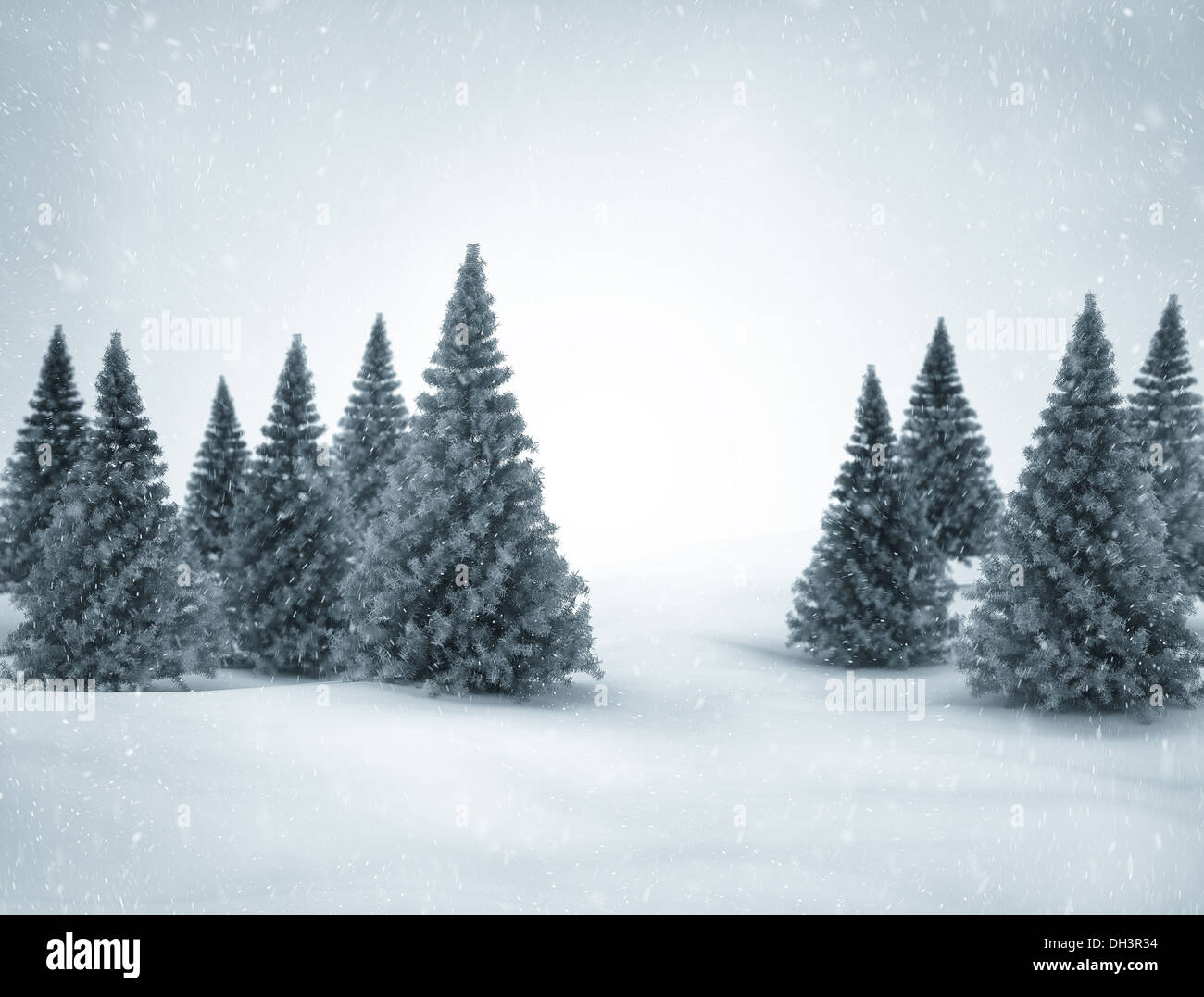 Winter background image - Pine trees and snow Stock Photo - Alamy