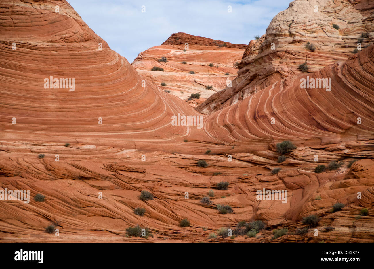 The wave, famous rock formation in coyote buttes,Arizona Stock Photo ...