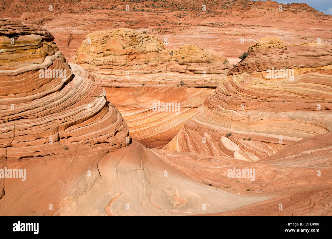 The wave, famous rock formation in coyote buttes,Arizona Stock Photo ...