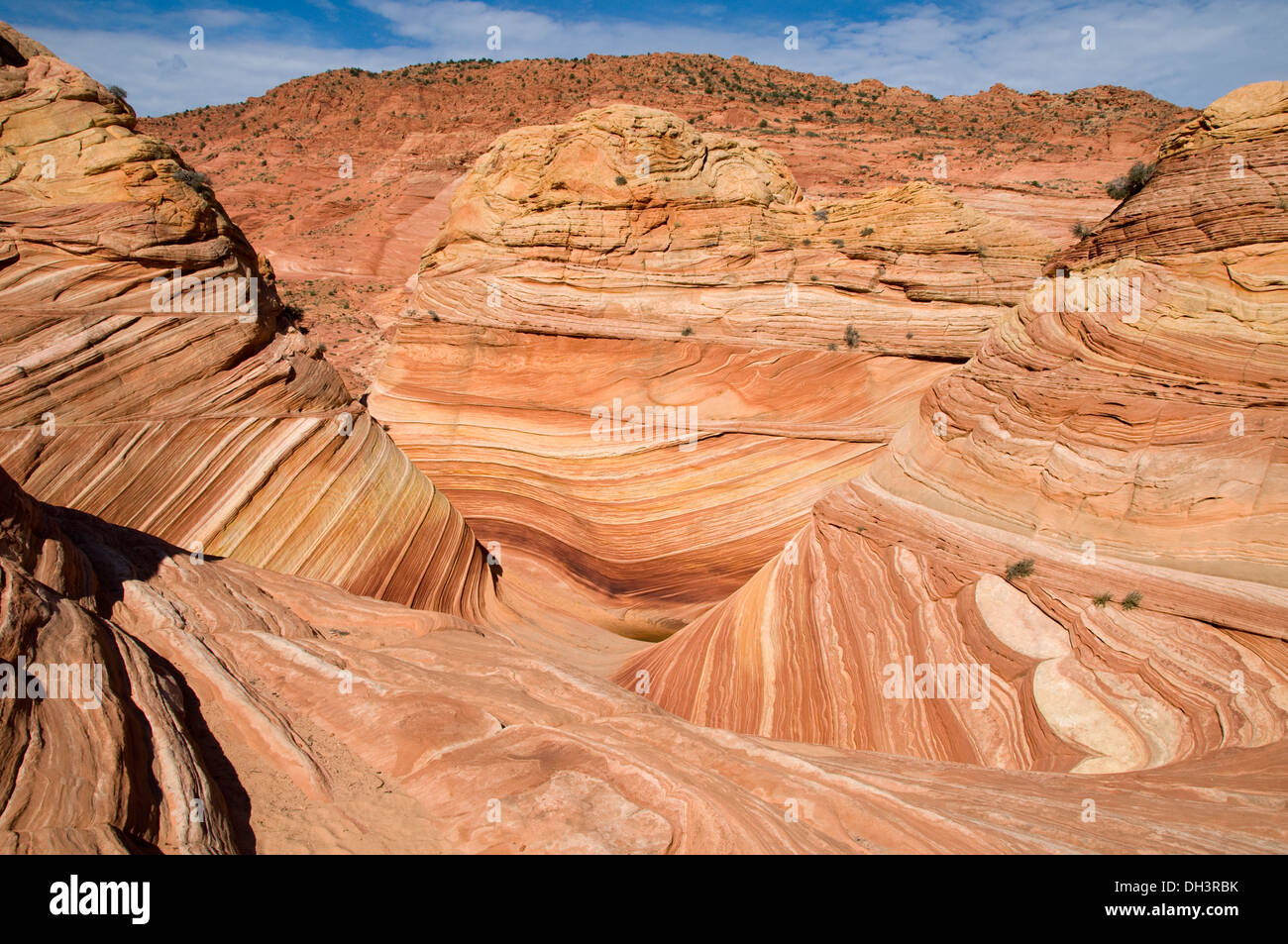 The wave, famous rock formation in coyote buttes,Arizona Stock Photo ...