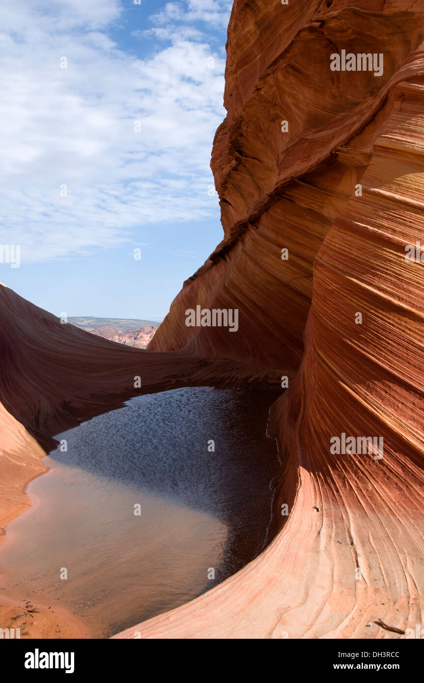 The wave, famous rock formation in coyote buttes,Arizona Stock Photo ...