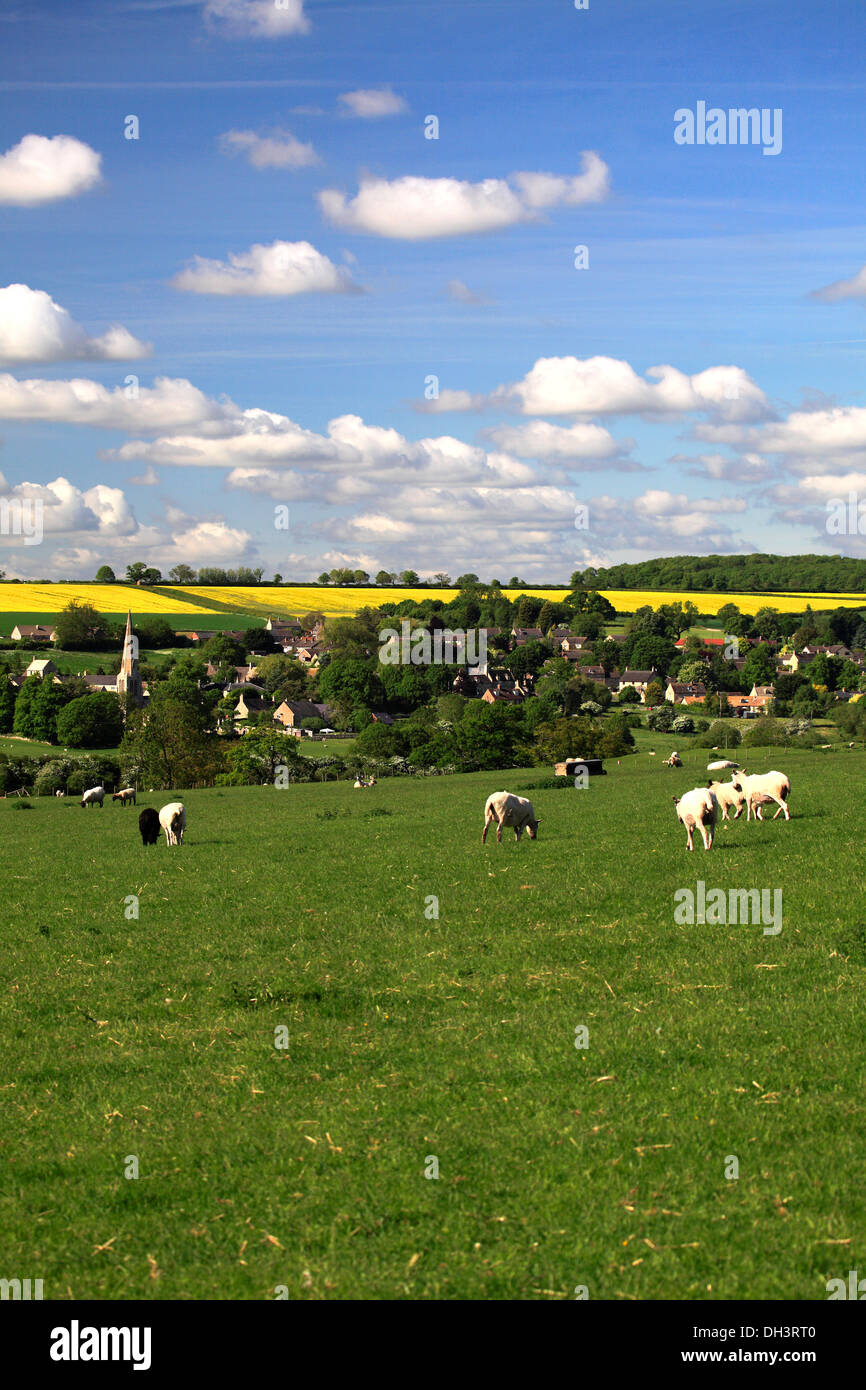 Summer view over Barrowden village, Rutland County, England, UK Stock ...