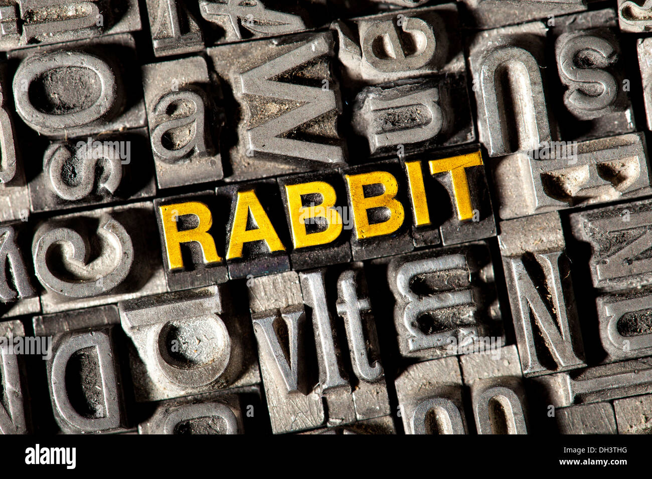 Old lead letters forming the word "Rabbit Stock Photo - Alamy