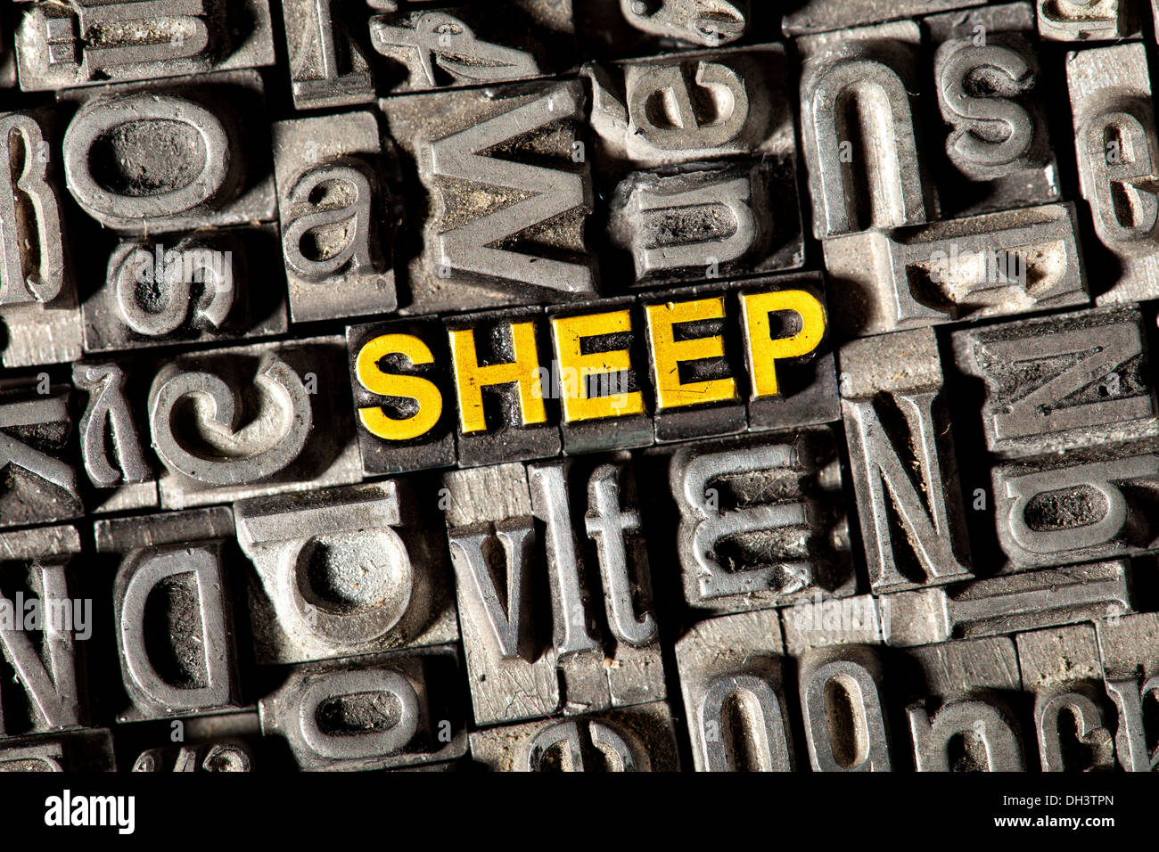 Old lead letters forming the word "SHEEP Stock Photo - Alamy