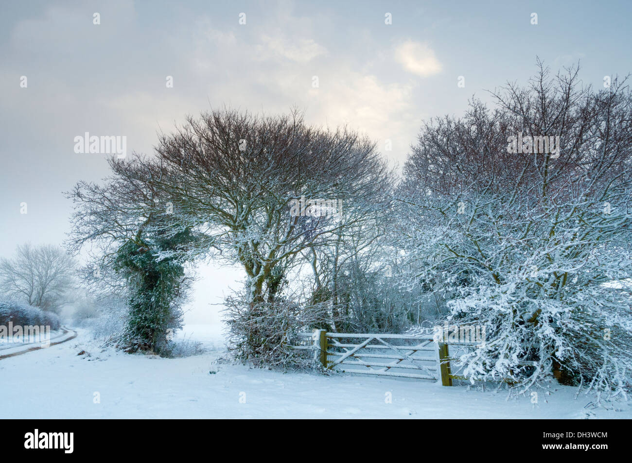 Winter countryside scene hi-res stock photography and images - Alamy