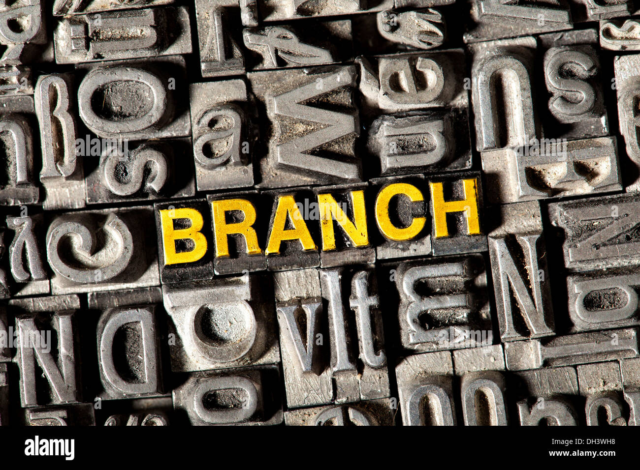 Branch forming hi-res stock photography and images - Alamy