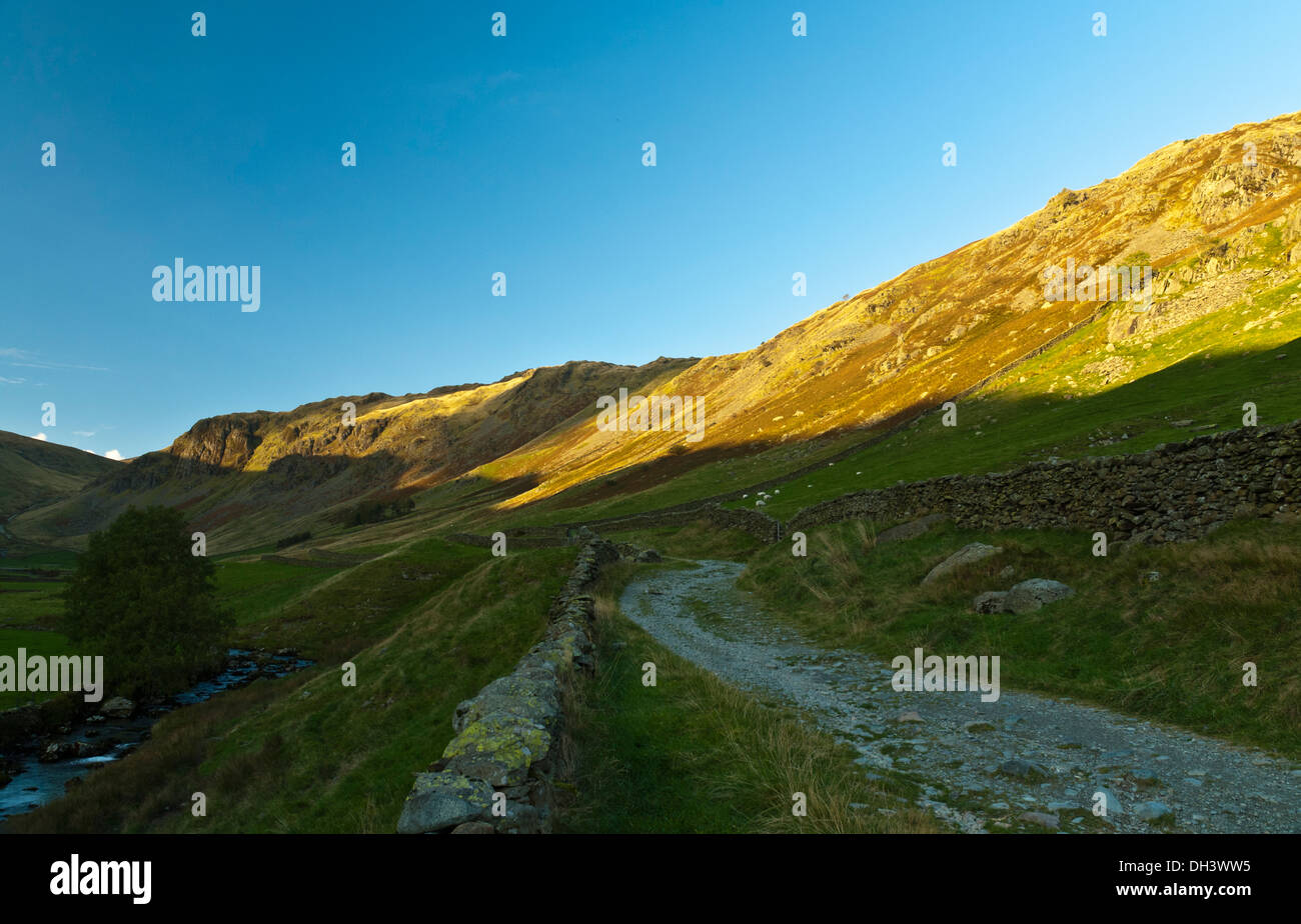 Cumbrian countryside farmland in evening sunlight Stock Photo - Alamy