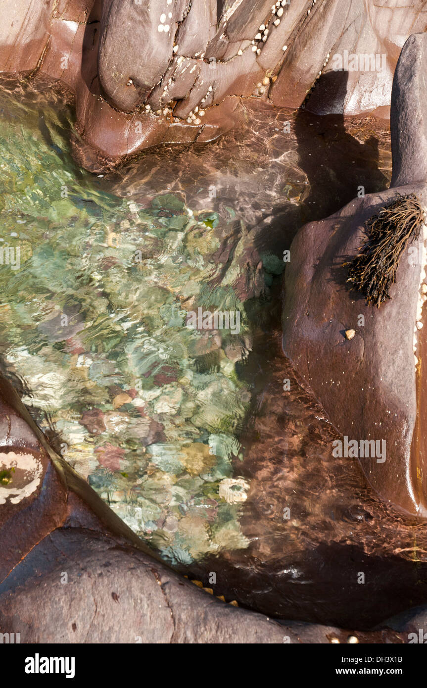 Seawater rockpool hi-res stock photography and images - Alamy
