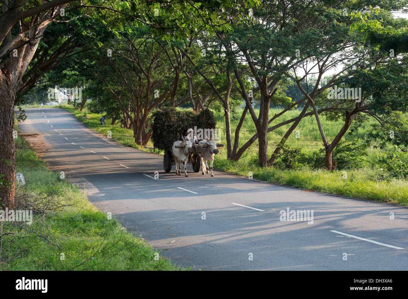 Hand Cart India High Resolution Stock Photography and Images - Alamy