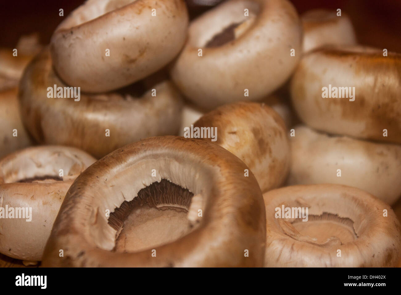 Macro of some White Button Mushroom Caps Stock Photo - Alamy