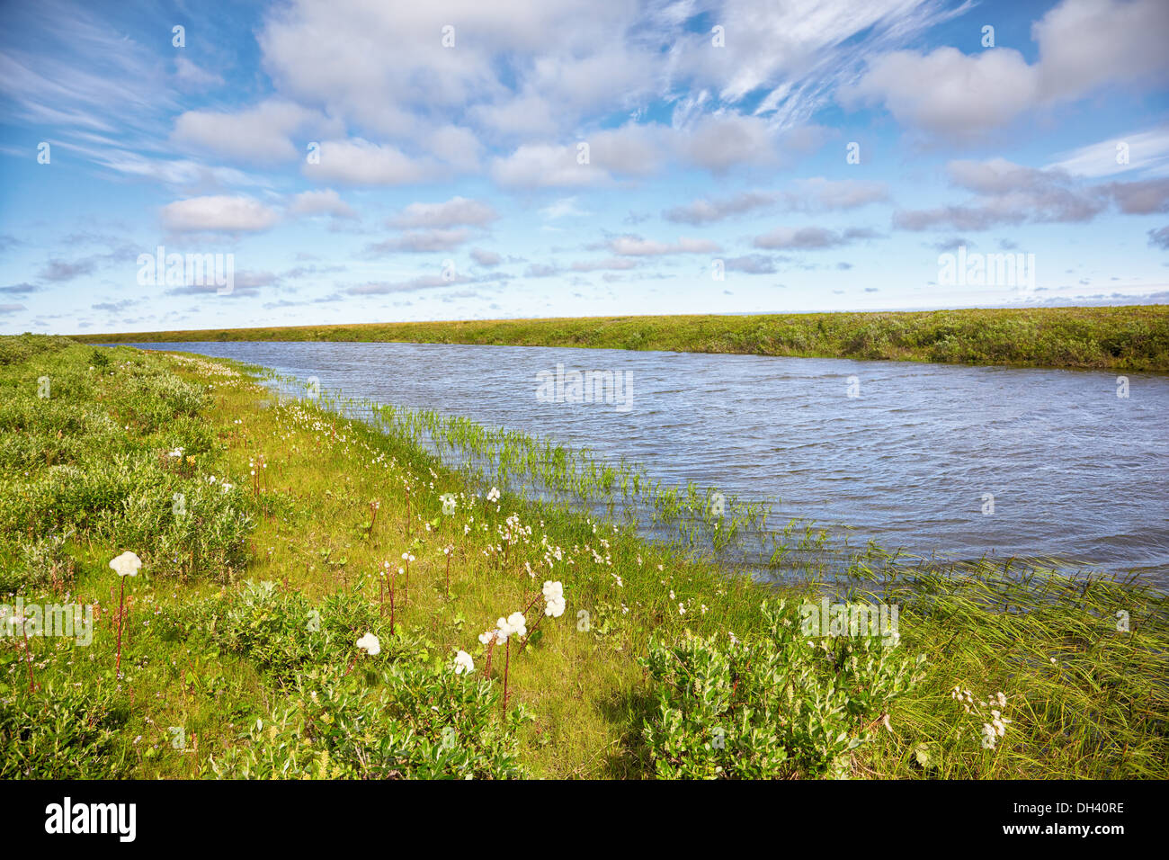 River meadow grassland hi-res stock photography and images - Alamy