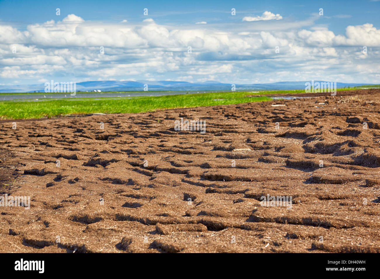 Turf banks hi-res stock photography and images - Alamy