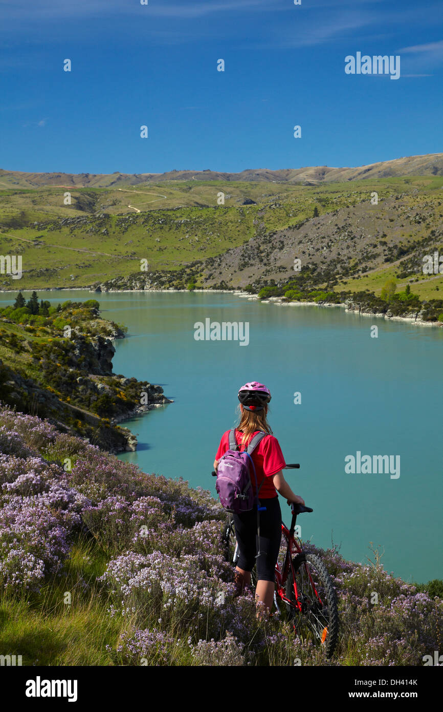 Mountain biker above Lake Roxburgh on Roxburgh Gorge Cycle and Walking ...