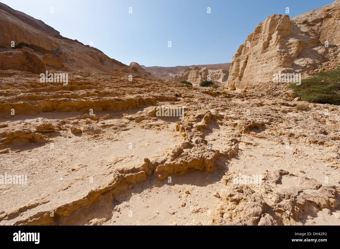 Mediterranean desert hi-res stock photography and images - Alamy