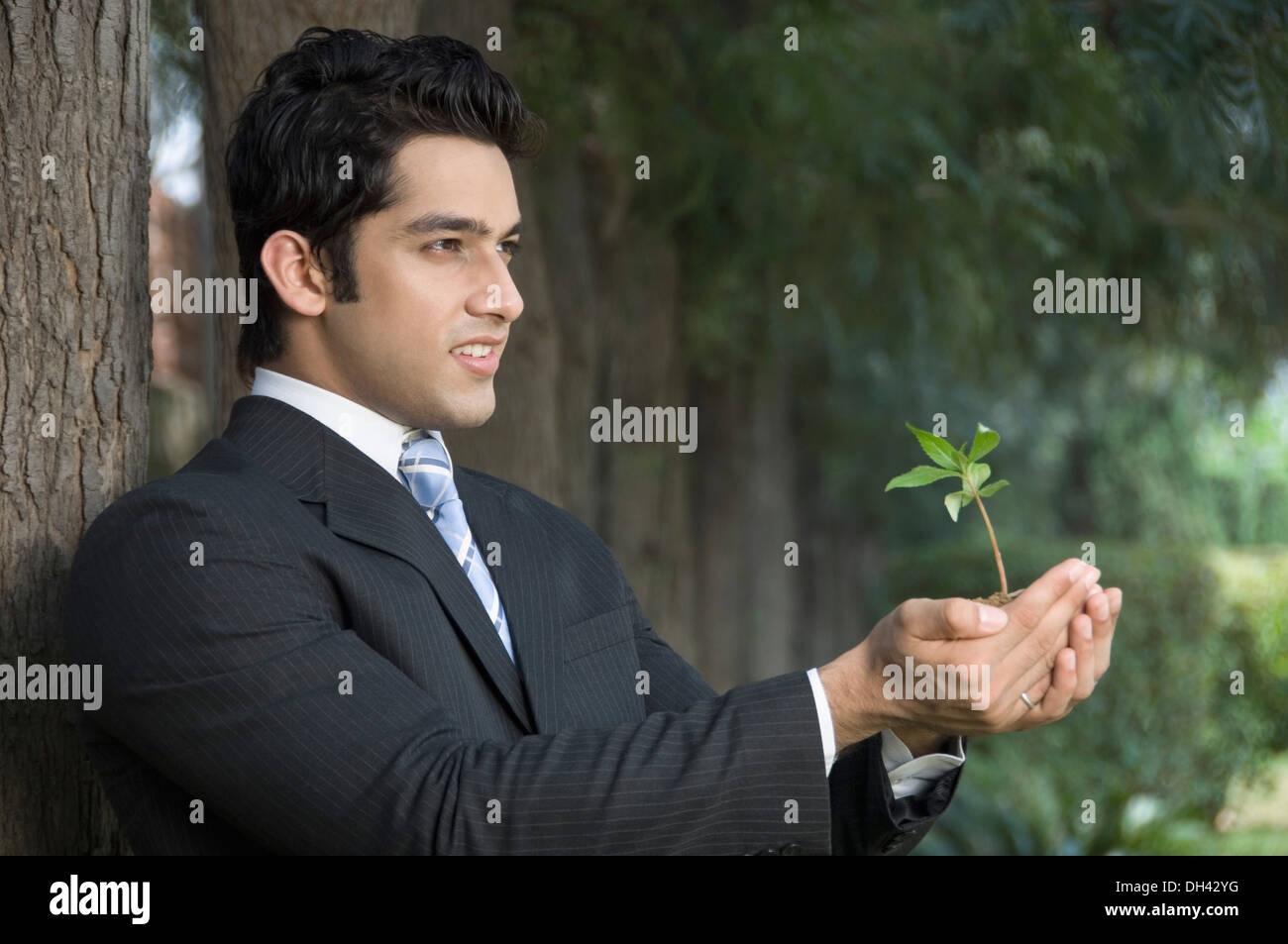 Side profile of a businessman holding a plant Stock Photo - Alamy