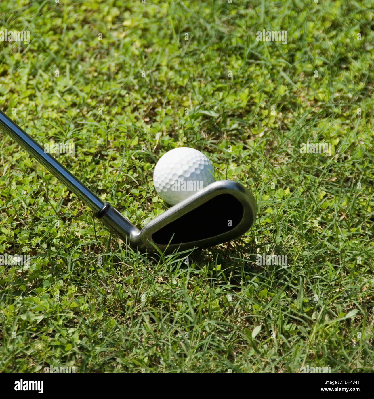 Golf club with a golf ball in a golf course Stock Photo - Alamy