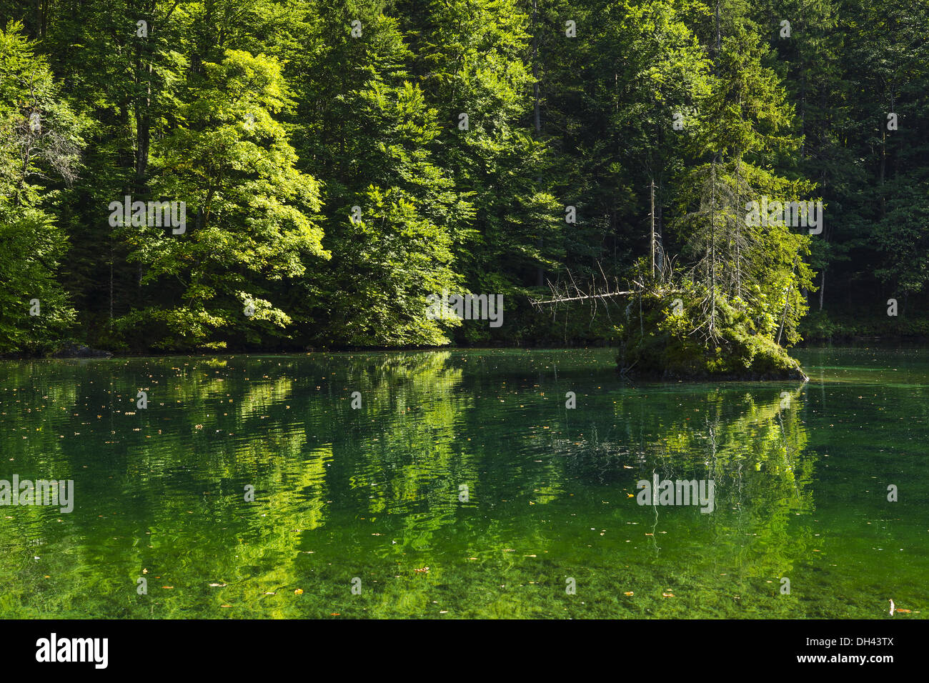 Der Badersee bei Grainau, Garmisch-Partenkirchen, Werdenfels, Bayern ...