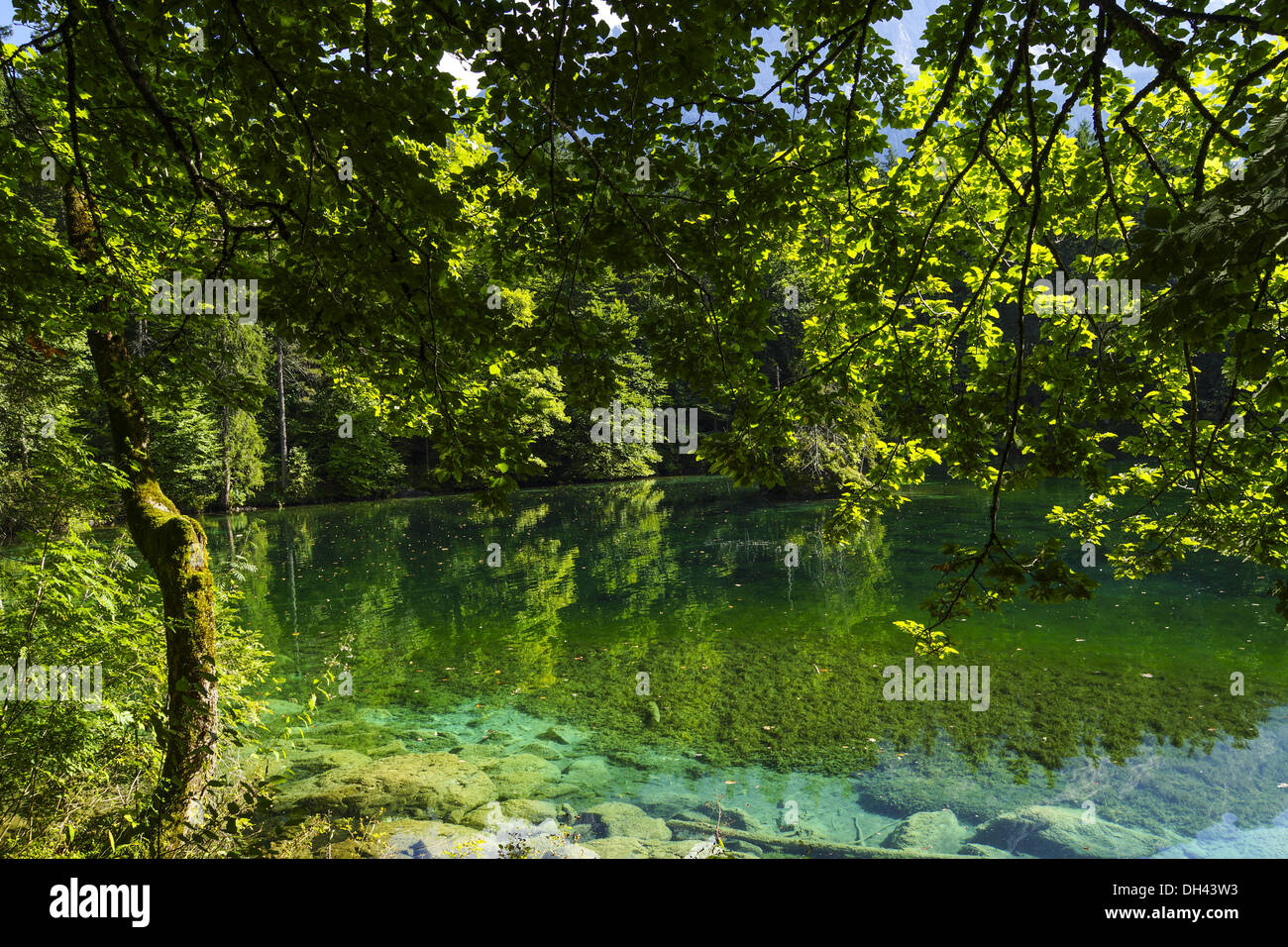 Der Badersee bei Grainau, Garmisch-Partenkirchen, Werdenfels, Bayern ...