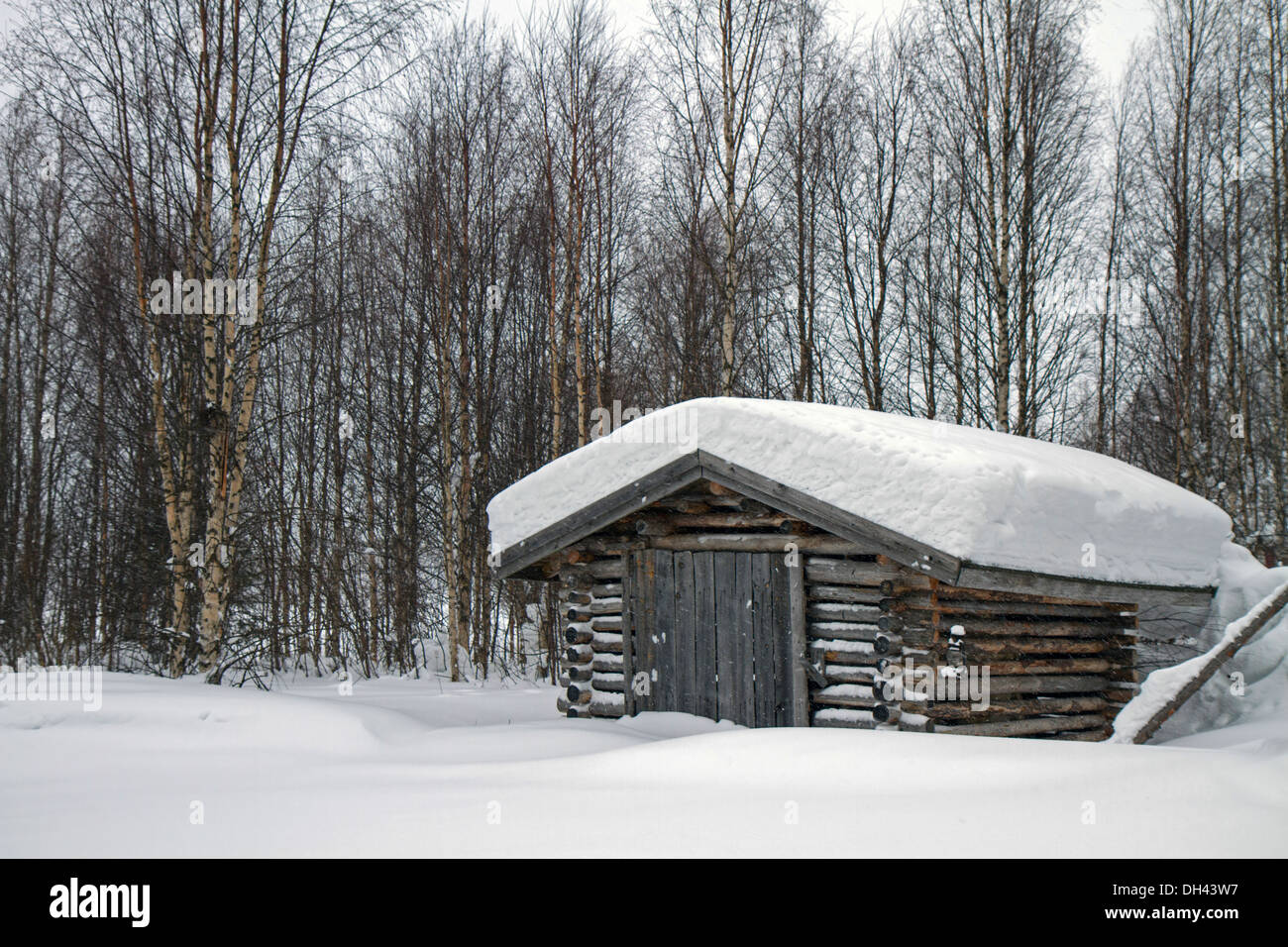 Lapland, Scandinavia, a snow covered wood shed, in a landscape of snow ...