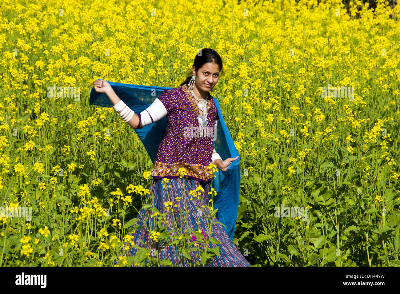 Mustard crop field india hi-res stock photography and images - Alamy