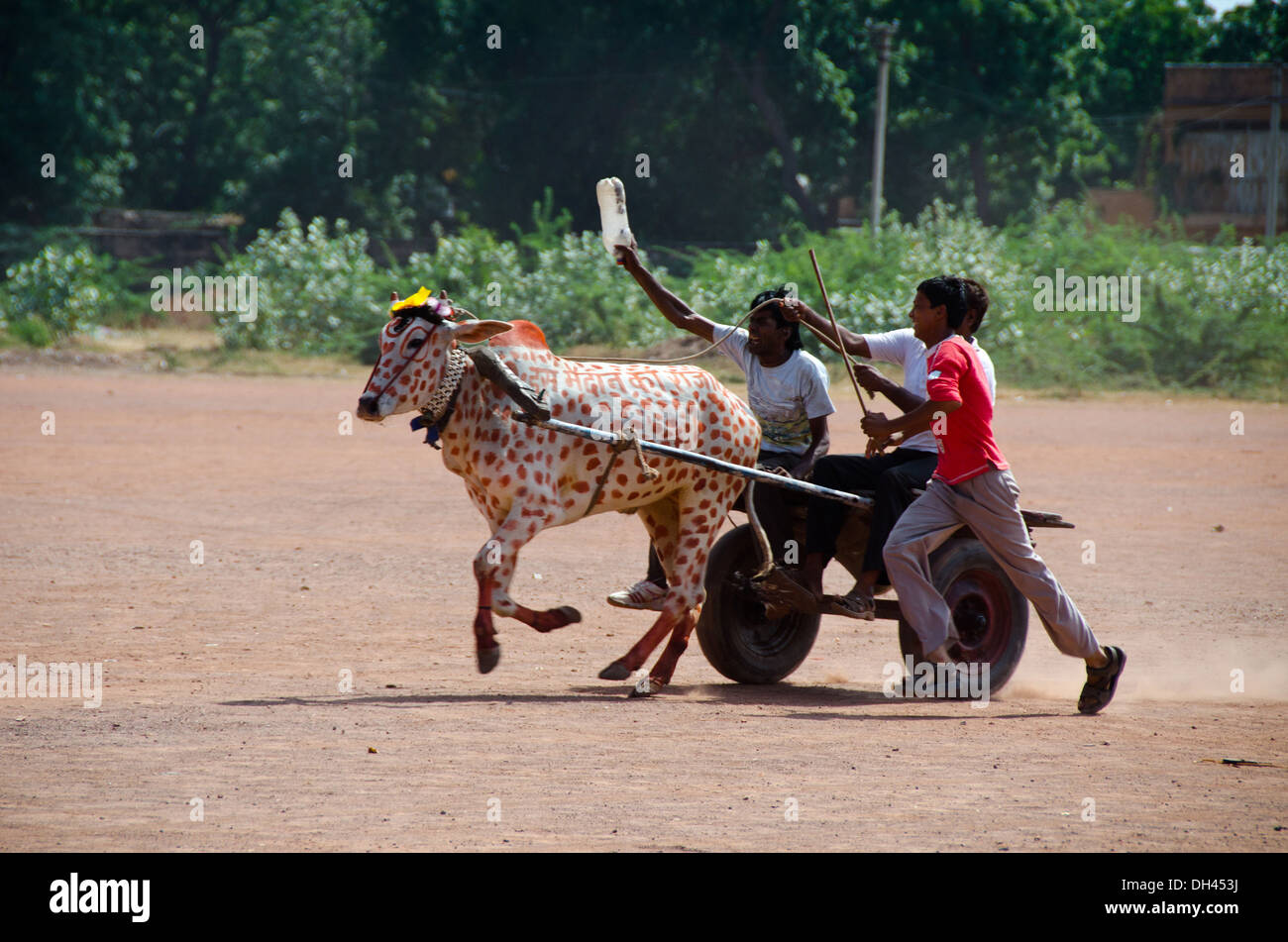 India bull carts hi-res stock photography and images - Alamy