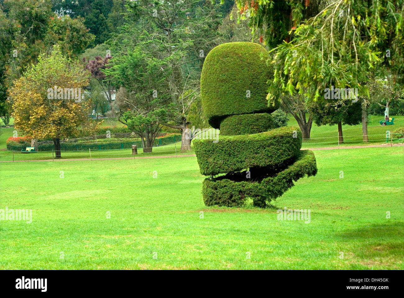 plant sculpture Botanical Gardens Ooty Tamilnadu India Stock Photo - Alamy