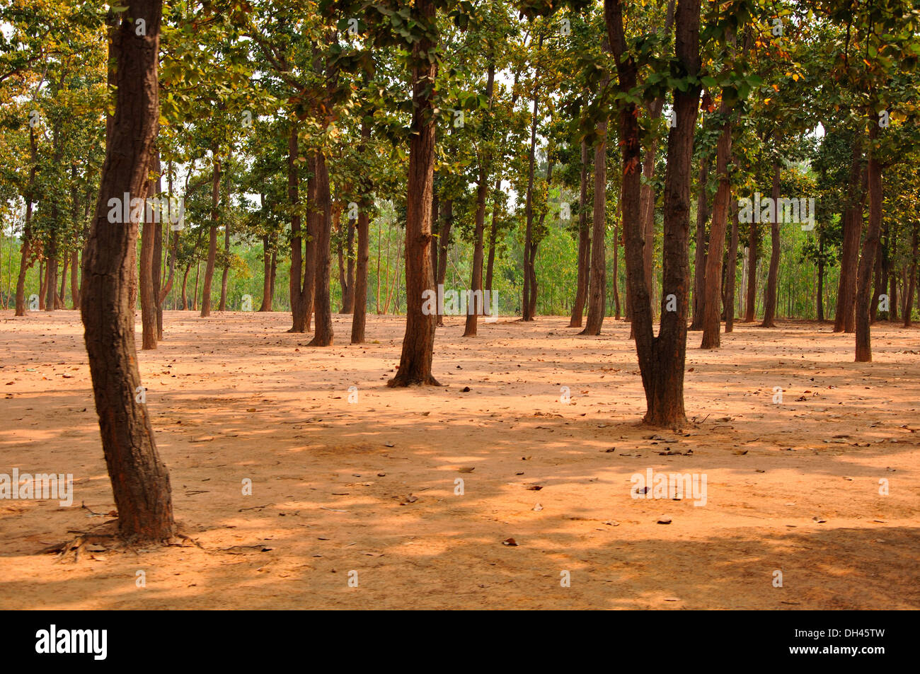 181301 hi-res stock photography and images - Alamy