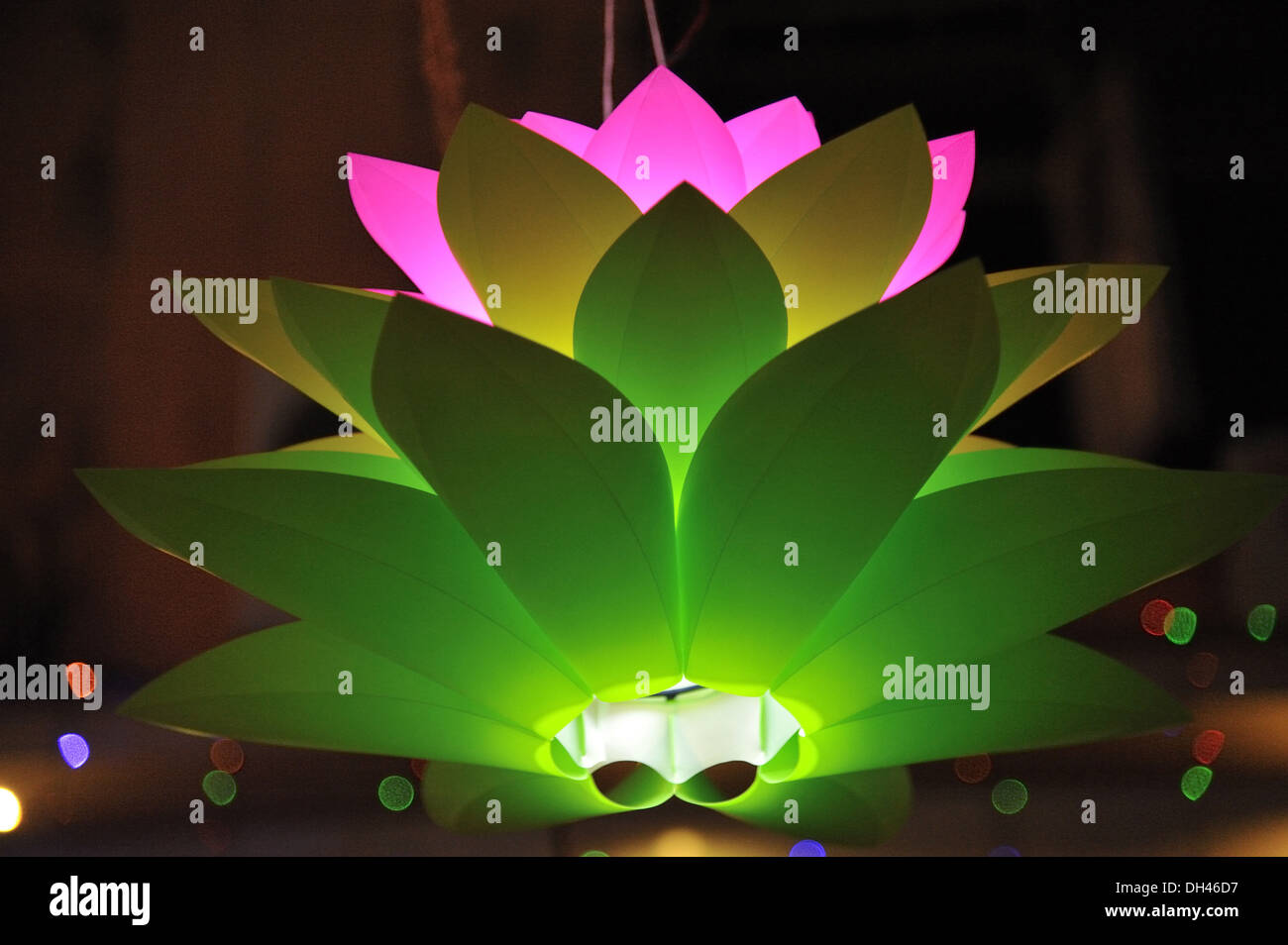 Sale selling lotus hi-res stock photography and images - Alamy