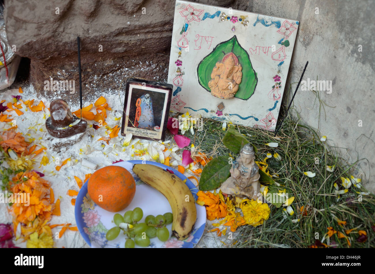 offering of banana orange grapes to Lord Shivji and Ganesh on Shivratri ...