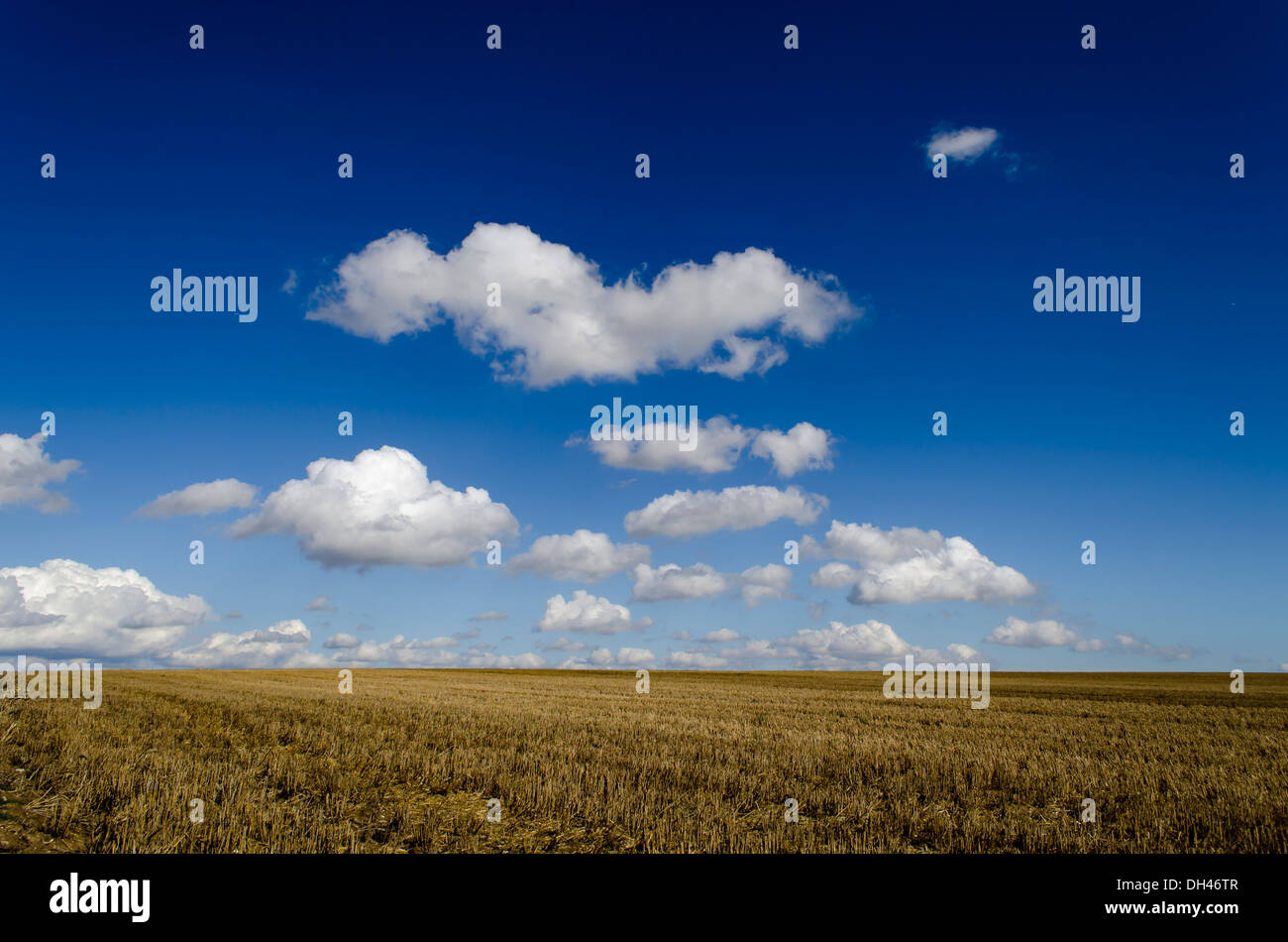 Clouds for crops hi-res stock photography and images - Alamy