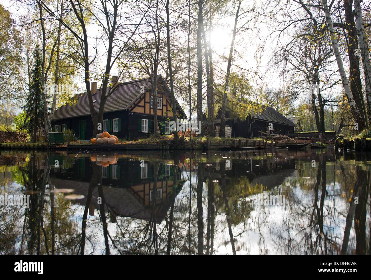 the Spreewald village Lehde, Germany. 30th Oct, 2013. Houses and trees ...