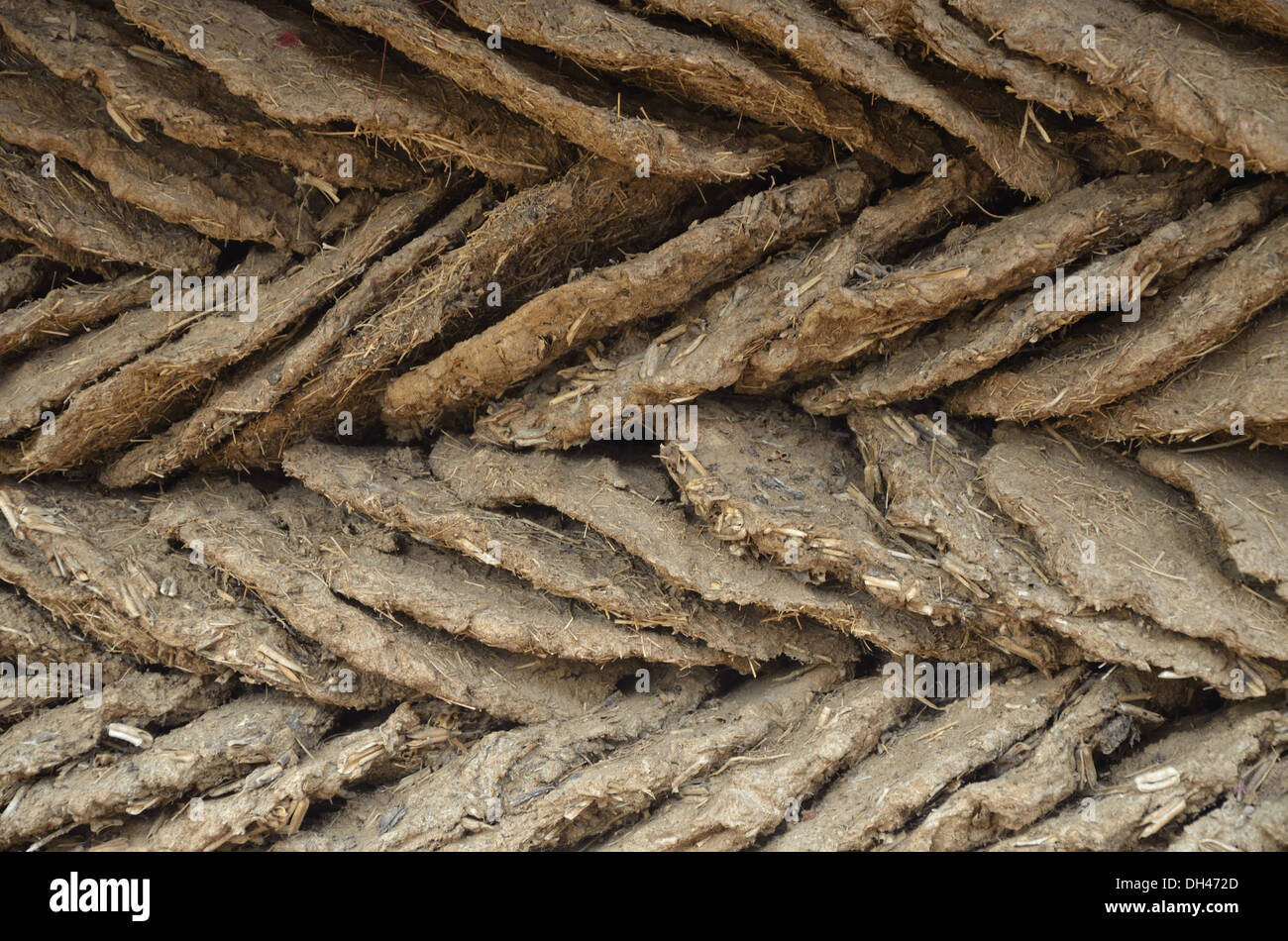 Gobar Cow dung cakes stacked in four rows Jodhpur Rajasthan India Asia ...