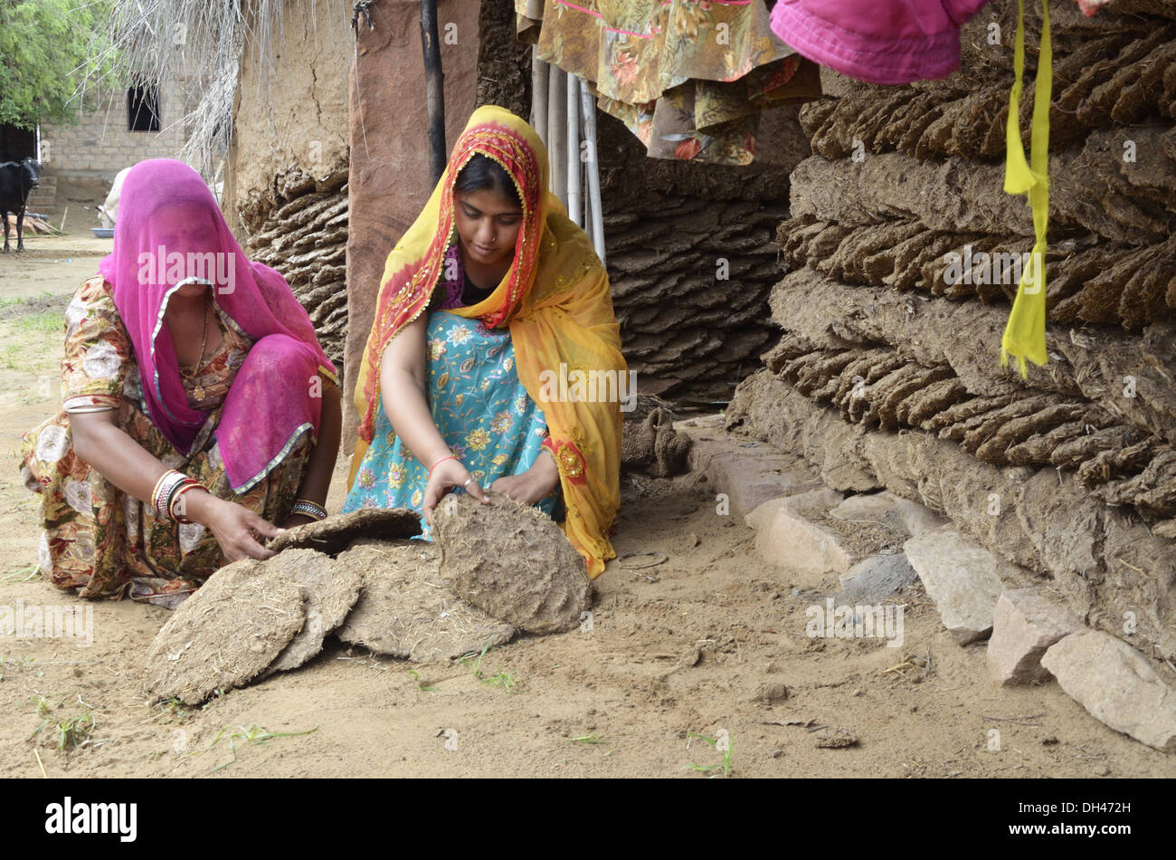 Gobar hi-res stock photography and images - Alamy