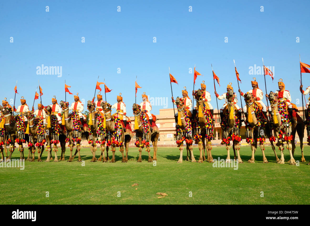 camel show by BSF Jawans in Marwar Festival Jodhpur Rajasthan India ...