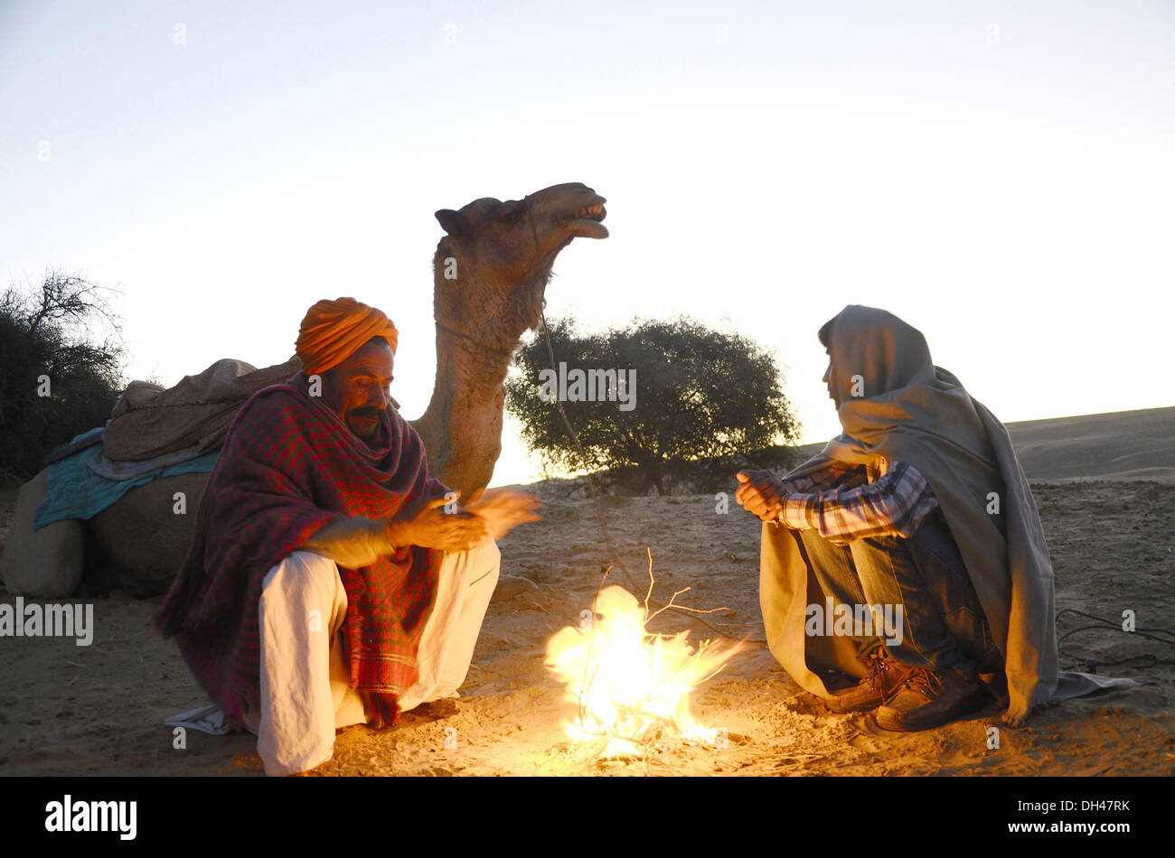 Campfire animals hi-res stock photography and images - Alamy