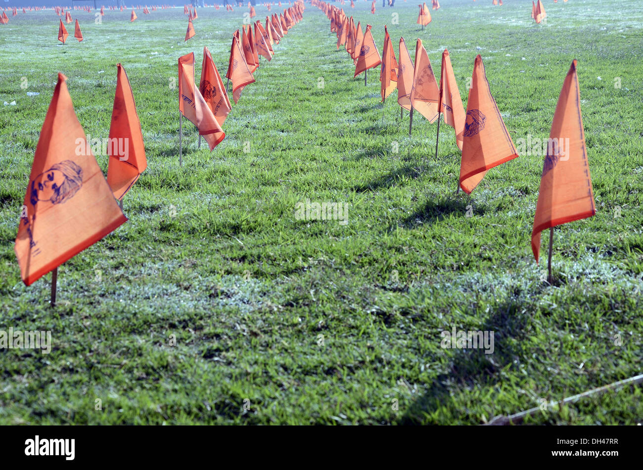 Saffron flags on green grass ground Jodhpur Rajasthan India Stock Photo ...