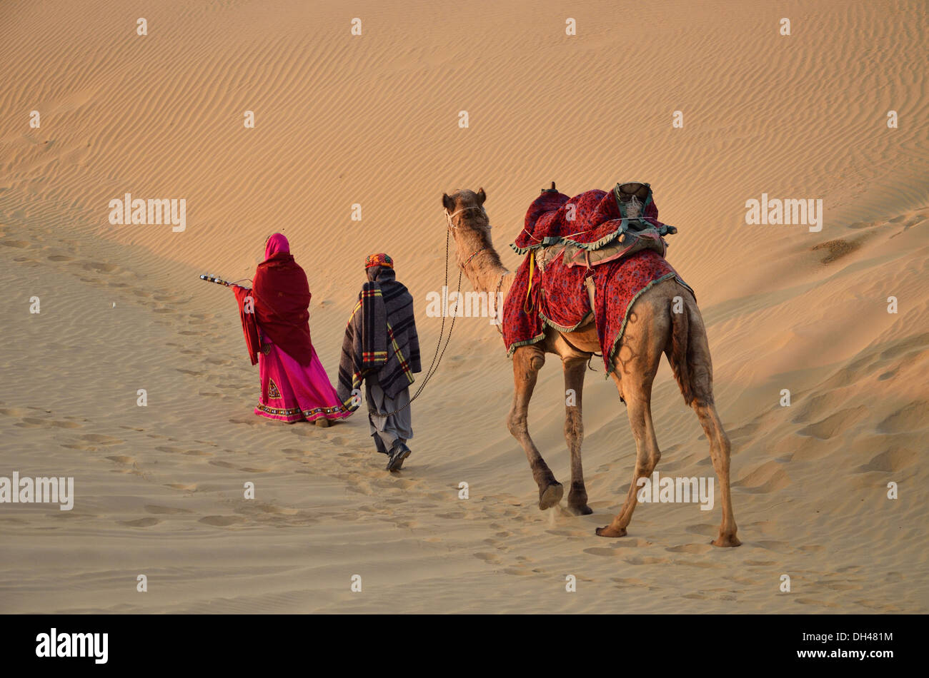 Man woman camel walking in desert Rajasthan India Asia Stock Photo - Alamy