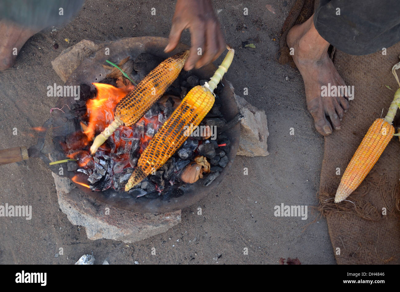 roasting corn on cob on coal fire india Stock Photo - Alamy