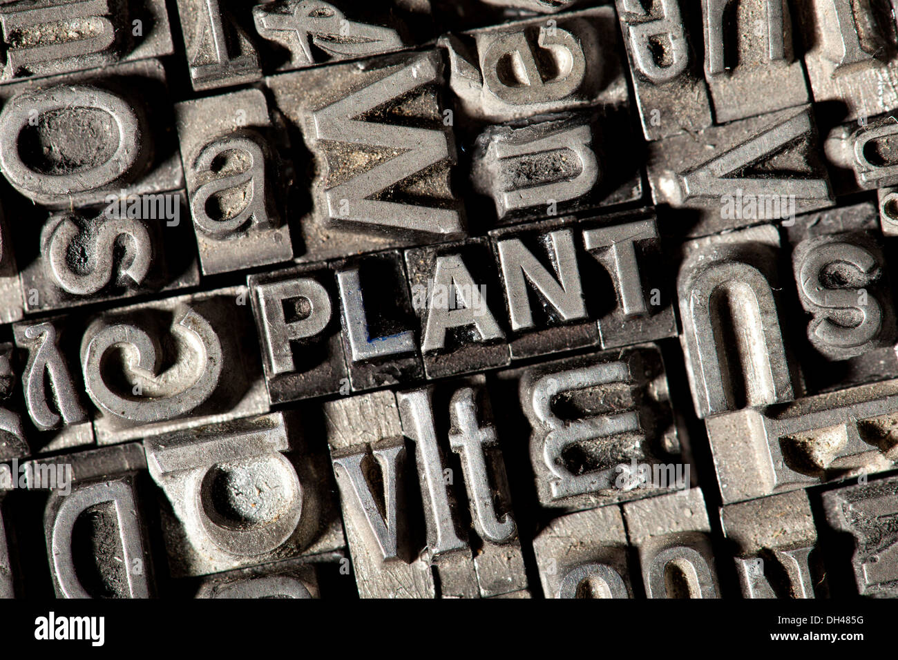 Plant letters hi-res stock photography and images - Alamy