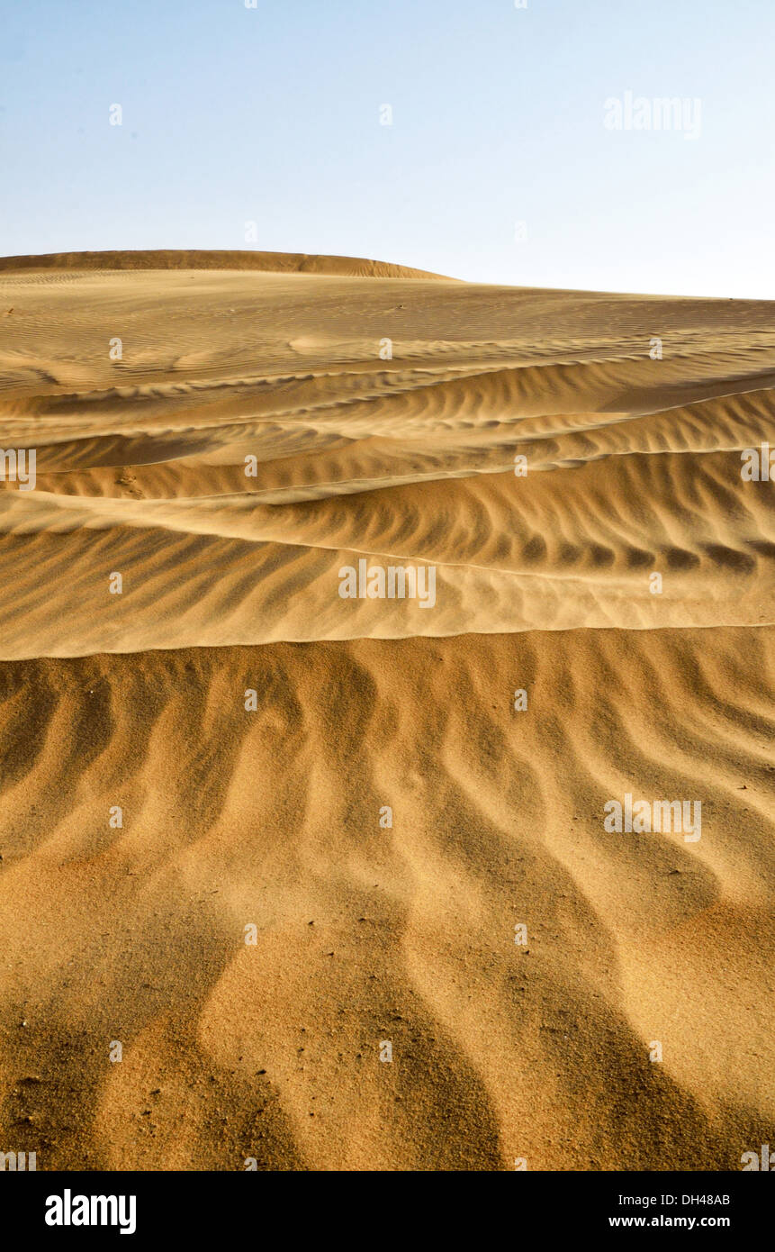 Ripples on desert sand dunes Rajasthan India Asia Stock Photo - Alamy