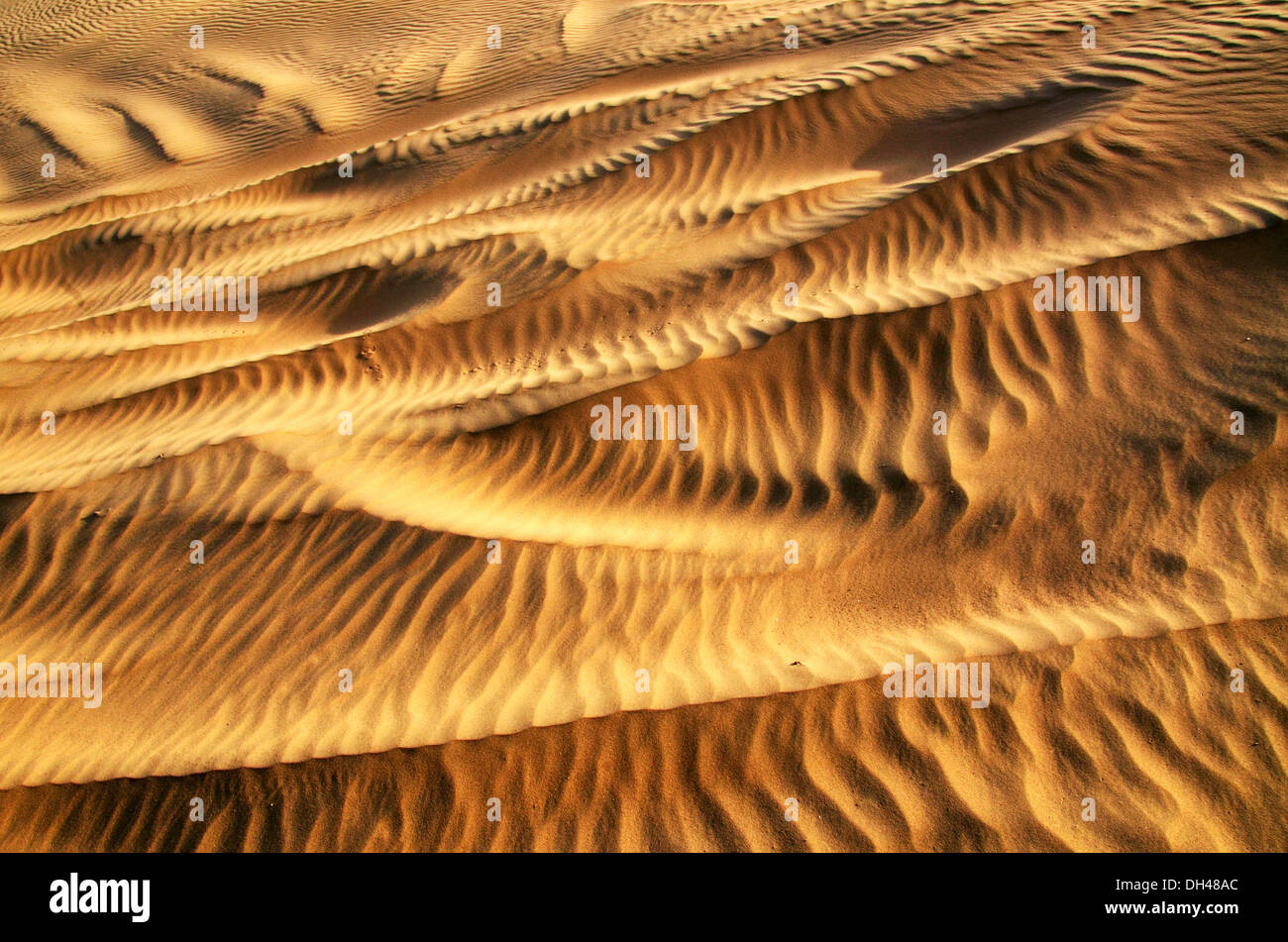 Desert sand ripples hi-res stock photography and images - Alamy