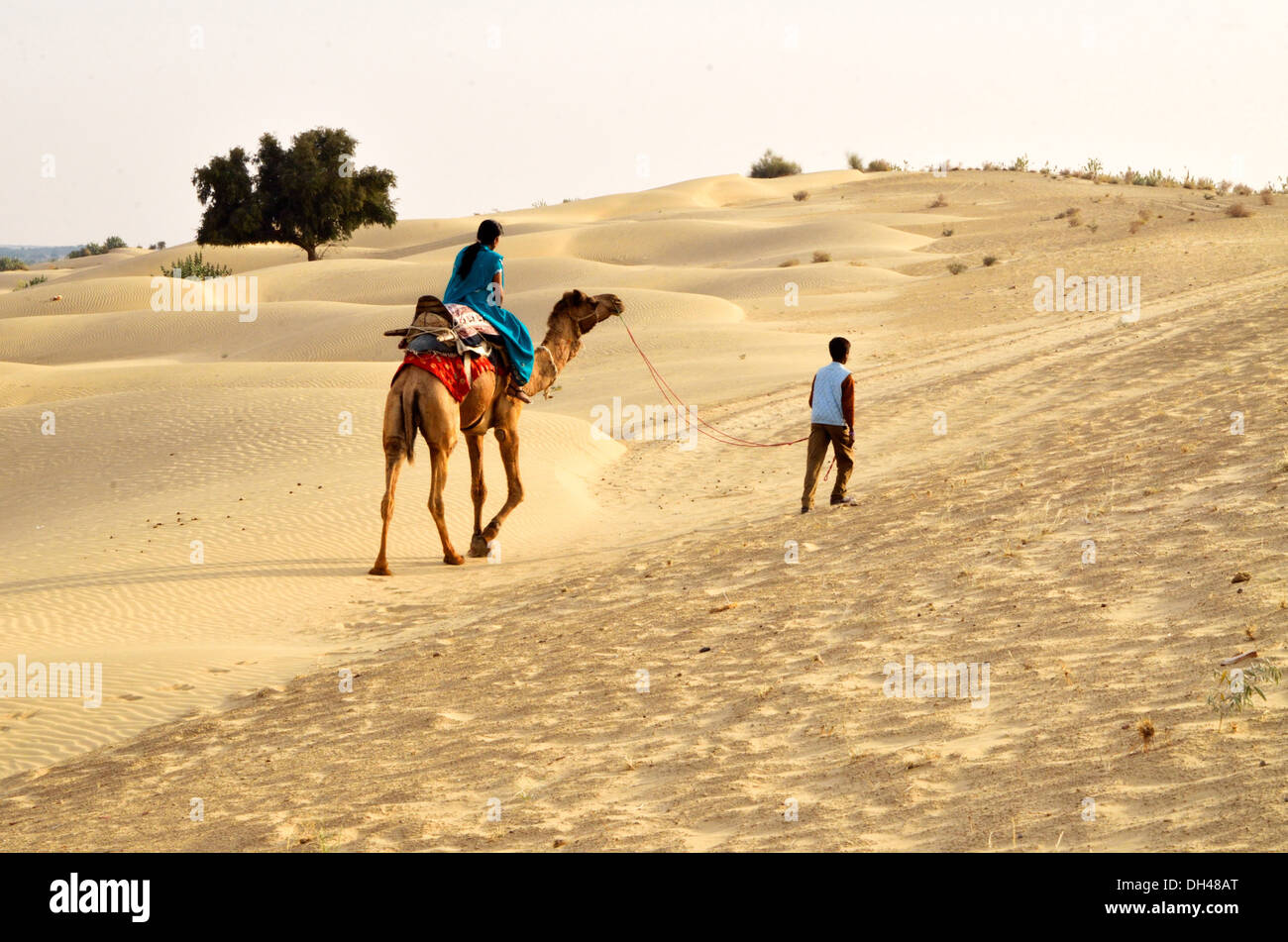 Indian woman sitting in desert hi-res stock photography and images - Alamy