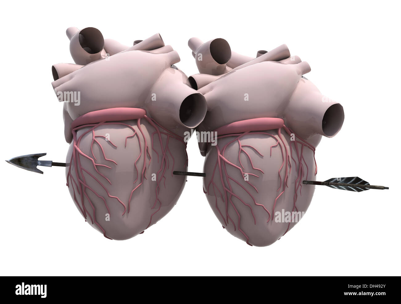 Valentines two heart arrow Cut Out Stock Images & Pictures - Alamy